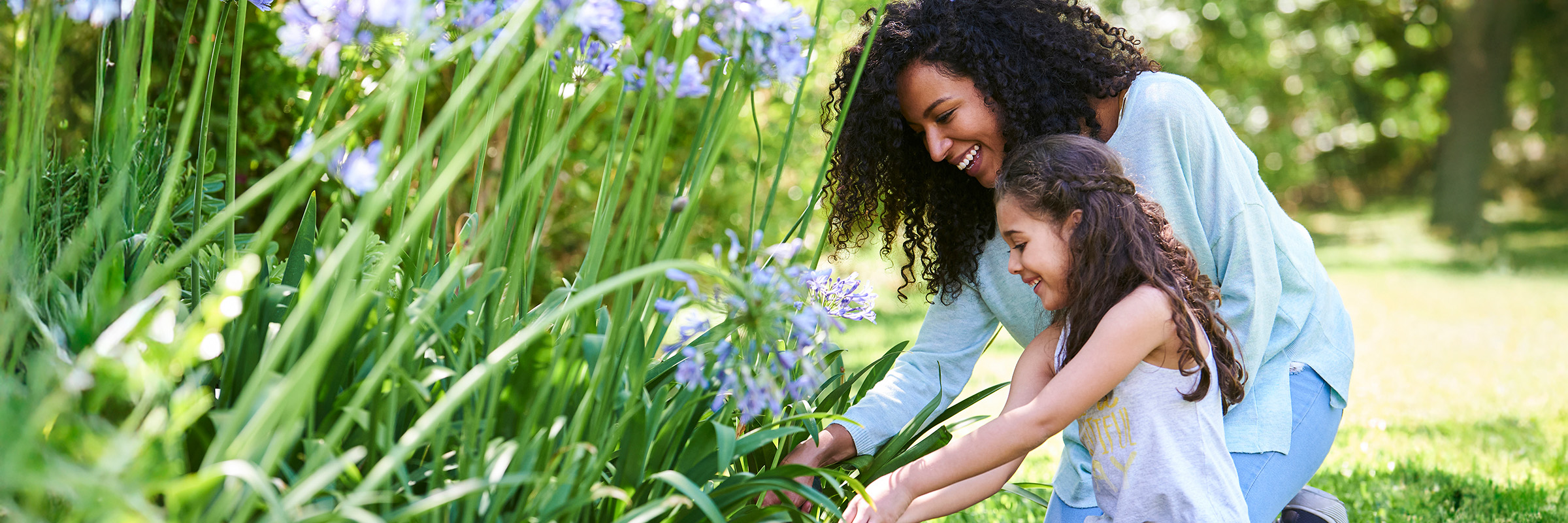 Grow – Thrive
